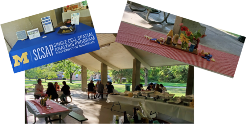 SCSAP: Single Cell Spatial Analysis