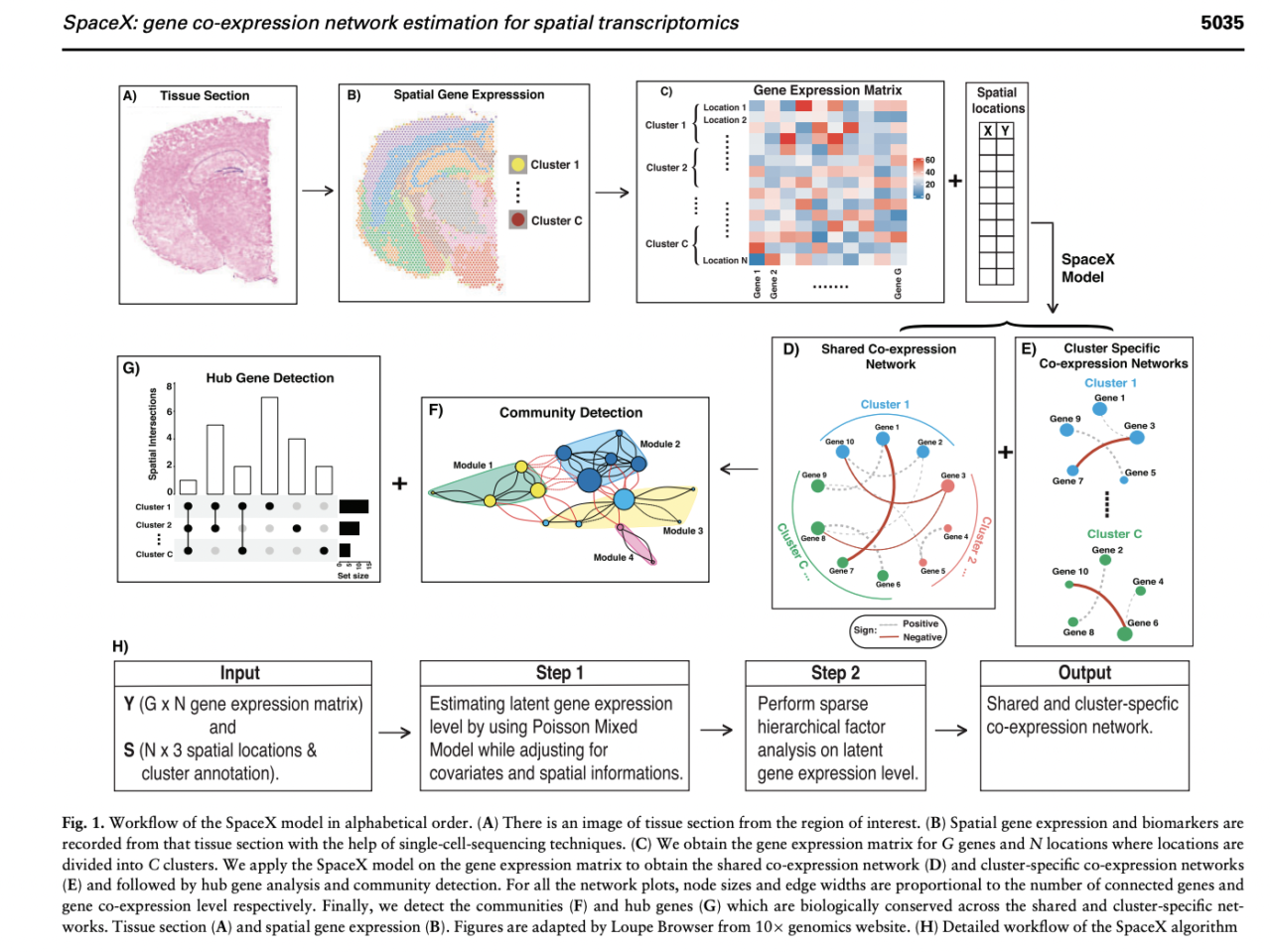 SCSAP Member Publications | SCSAP: Single Cell Spatial Analysis